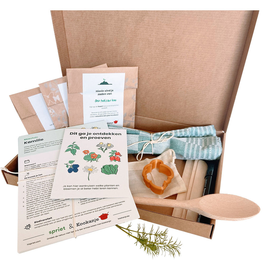 Spriet Vegetable Garden Wild Picking Box – Fairplace